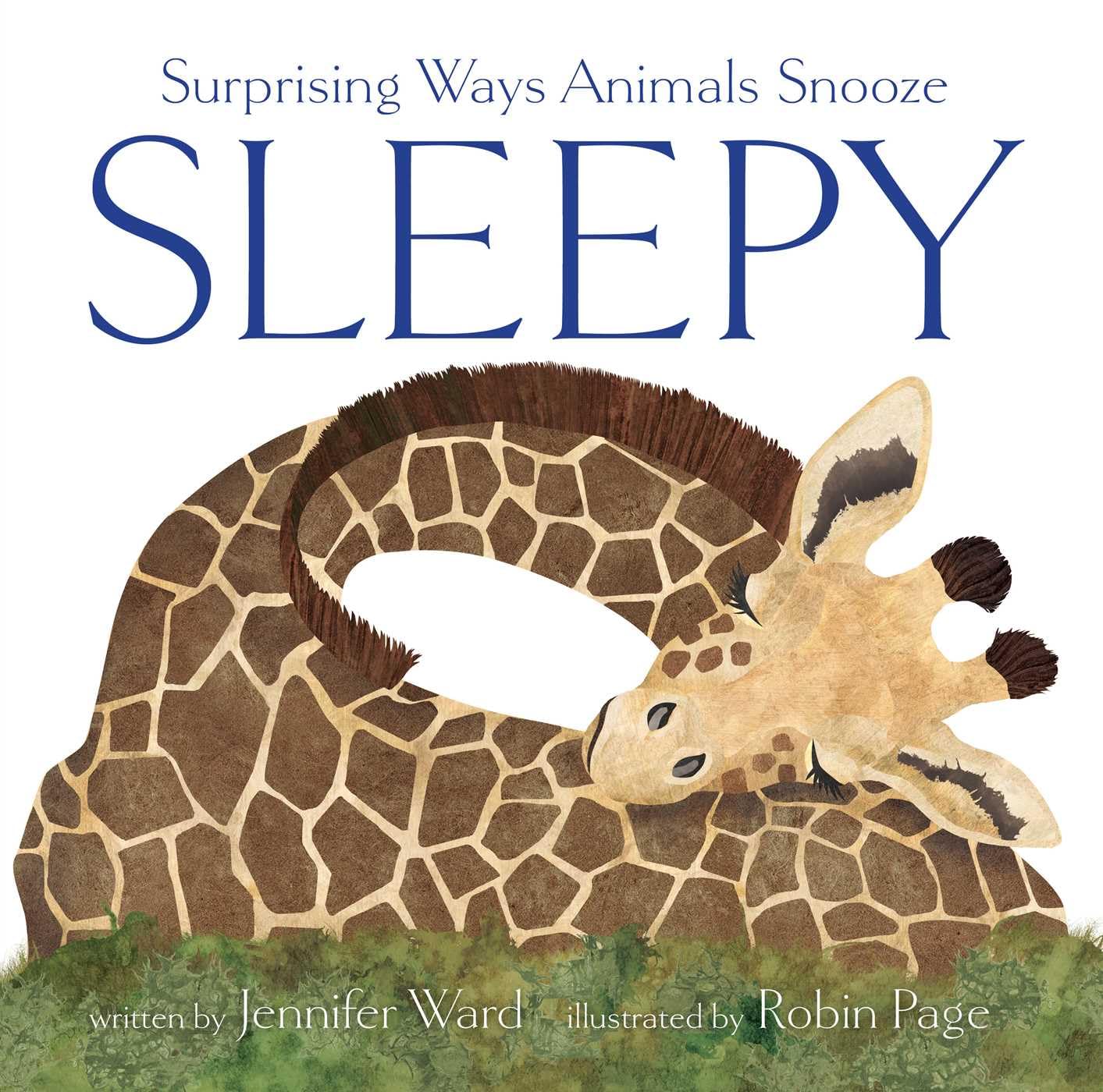Sleepy: Surprising Ways Animals Snooze – Thinktastic