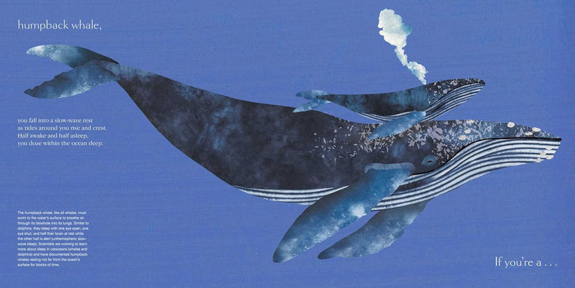 Sleepy: Surprising Ways Animals Snooze – Thinktastic